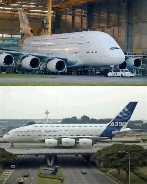 Will Airbus Build the A390? Exploring the Future of Widebody Aviation - Bolt Flight