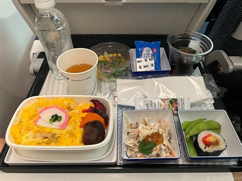 Tips to Make the Most of ANA Economy Class - Bolt Flight