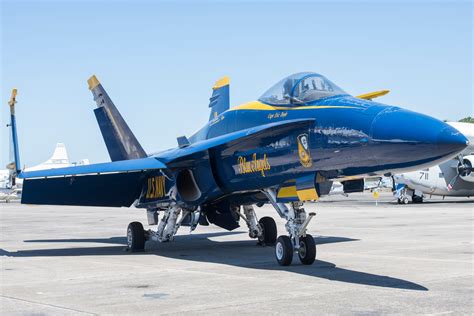 F/A-18 Liveries: A Comprehensive Guide to the Iconic Hornet Paint ...