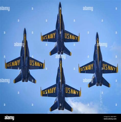 Female Blue Angels Pilots: Breaking Barriers in Naval Aviation - Bolt ...