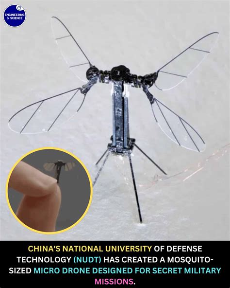China's Mosquito Drone: The Alarming Rise of Insect-Sized Espionage ...