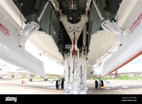 Robinson R44: The Global Standard in Light Helicopters - Bolt Flight