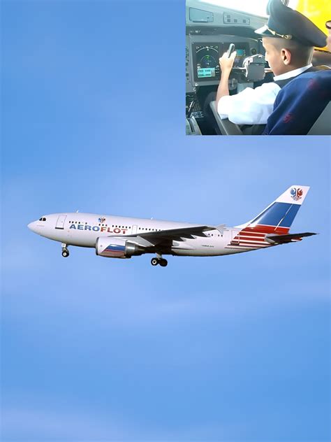 The Tragedy of Aeroflot Flight 593: A Catastrophe Born from Human Error ...