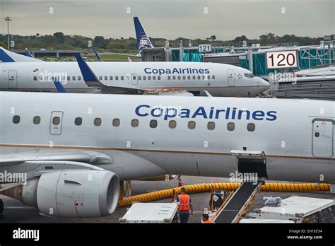 Copa Airlines: A Legacy of Excellence in Aviation - Bolt Flight