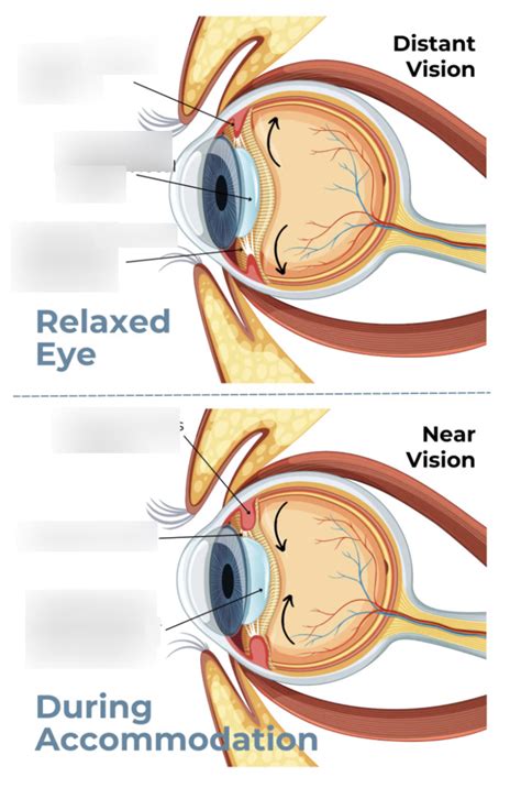Eyesight Requirements for Pilots: FAA Medical Standards Explained ...