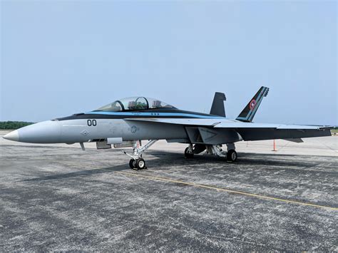 F/A-18 Liveries: A Comprehensive Guide to the Iconic Hornet Paint ...