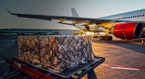 Air Cargo Management Basics: A Comprehensive Guide to Efficient Freight ...