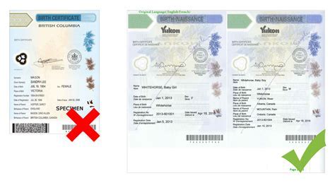 Understanding the Travel Document Number: Definition, Importance, and ...