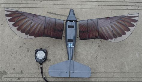 The Future of Ornithopter Drones: Exploring Efficiency, Potential, and ...