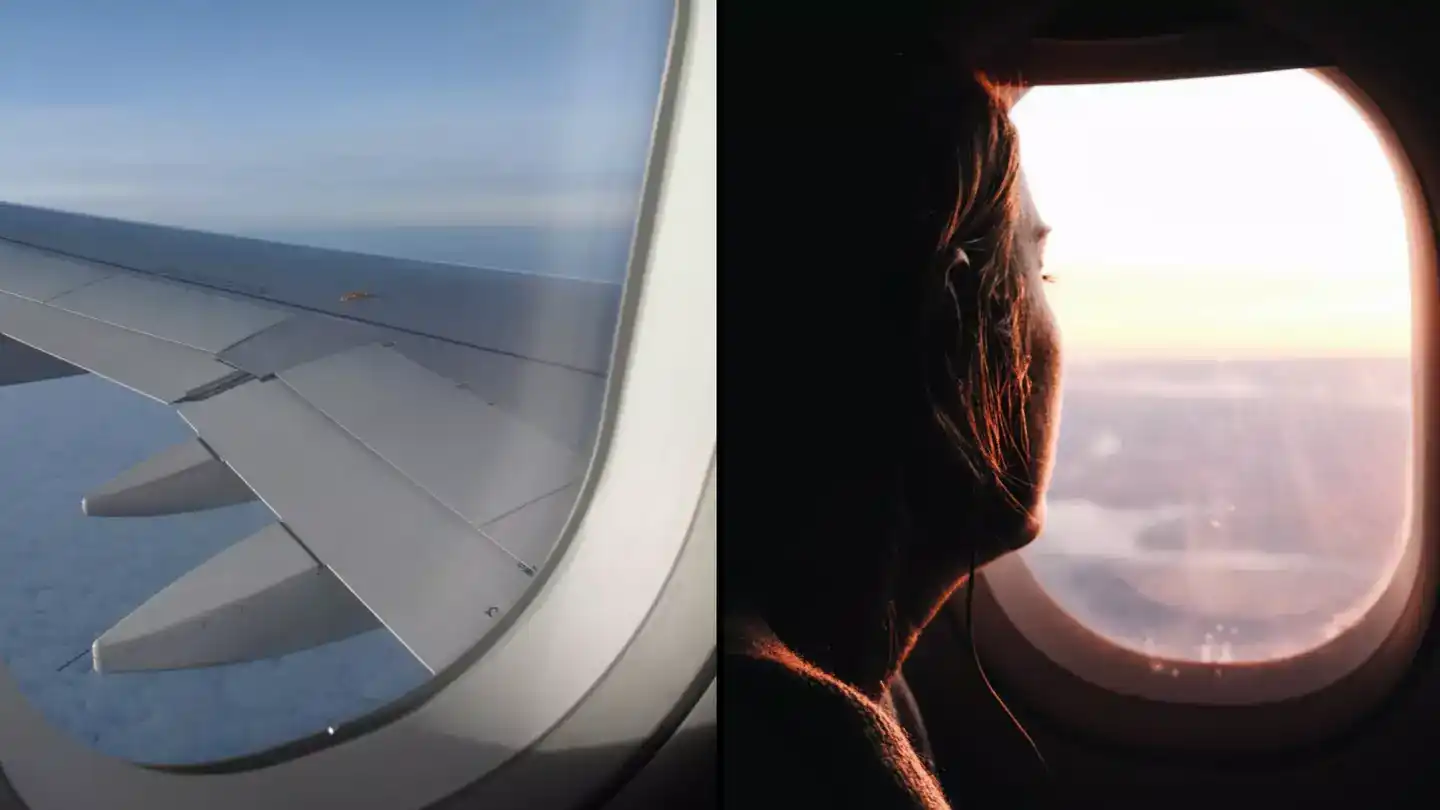 Why Are Airplane Windows Round? - Bolt Flight