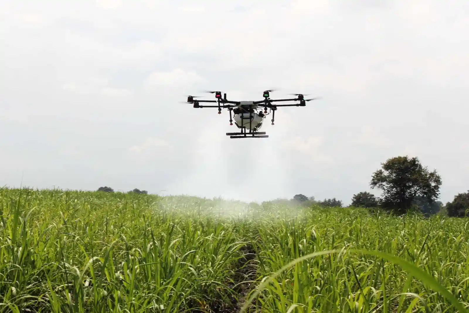 Drone-Powered Pest Control: Revolutionizing Eco-Friendly Farming - Bolt ...