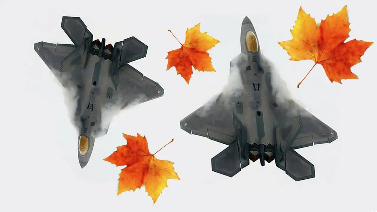 F-22 Raptor Performs the Falling Leaf and Cobra Maneuver! - Bolt Flight