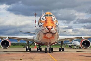 11 Coolest Painted Planes Around the World - Bolt Flight