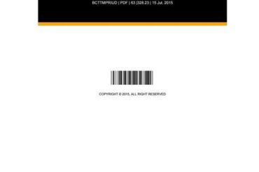 Aircraft Flight Manual (Afm) - Bolt Flight