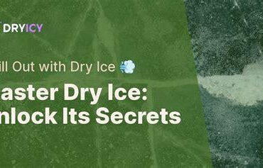 Dry Snow - Bolt Flight