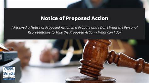 Notice Of Proposed Action Amendment (Npa) - Bolt Flight