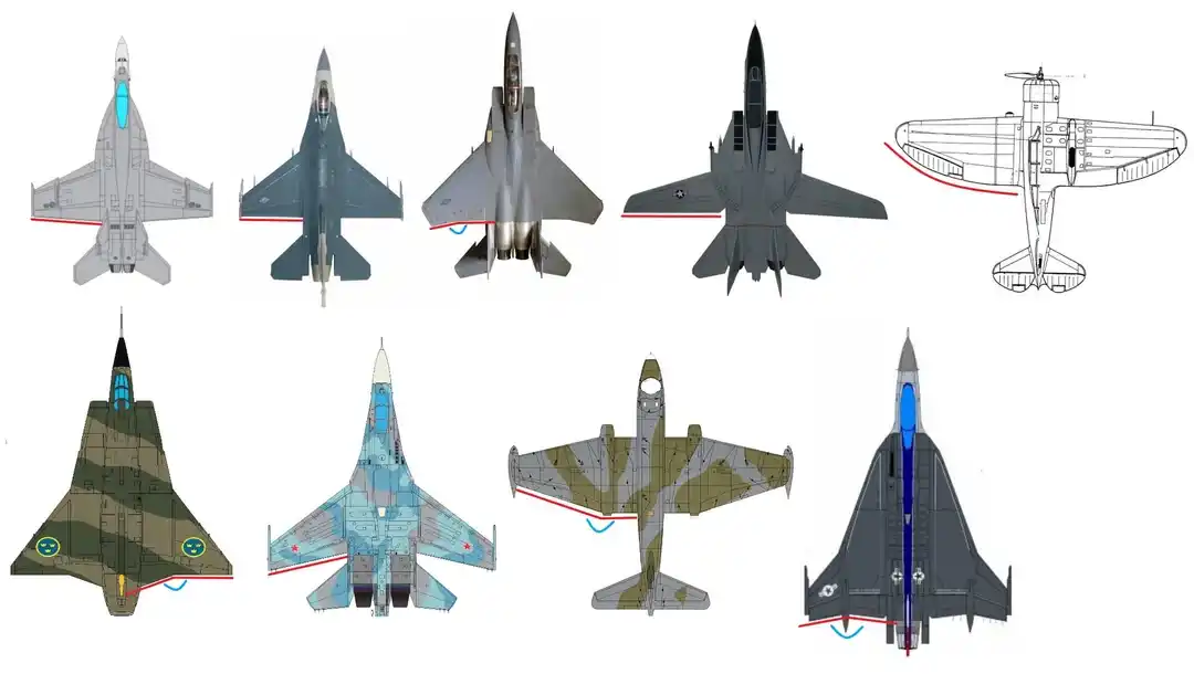 How Does the Trailing Edge’s Sweep Angle and Curve Shape of the Wing ...