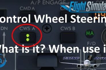 Control Wheel Steering (CWS) - Bolt Flight