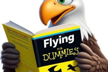 Does Flying for Dummies Exist? - Bolt Flight