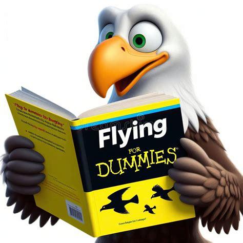 Does Flying for Dummies Exist? - Bolt Flight