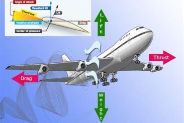 Understanding Lift in Aerodynamics: The Foundation of Flight - Bolt Flight