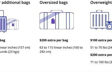 Sky Airline Baggage Fees: A Complete Guide to Luggage Costs, Rules, and ...