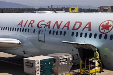 Flight Progress Strips - Bolt Flight