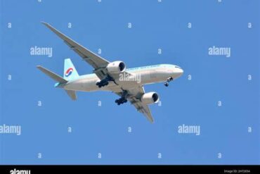 EVA Air Flights and Reviews: An In-Depth Look at Taiwan's Premier ...