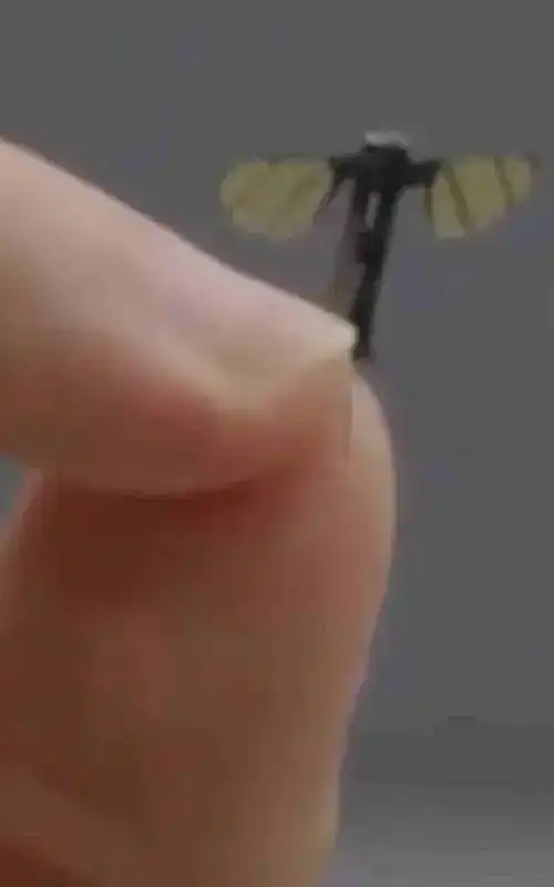 Military Experts Analyze China’s Mosquito-Like Spy Drone: Innovation or ...