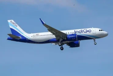 Due Regard - Bolt Flight