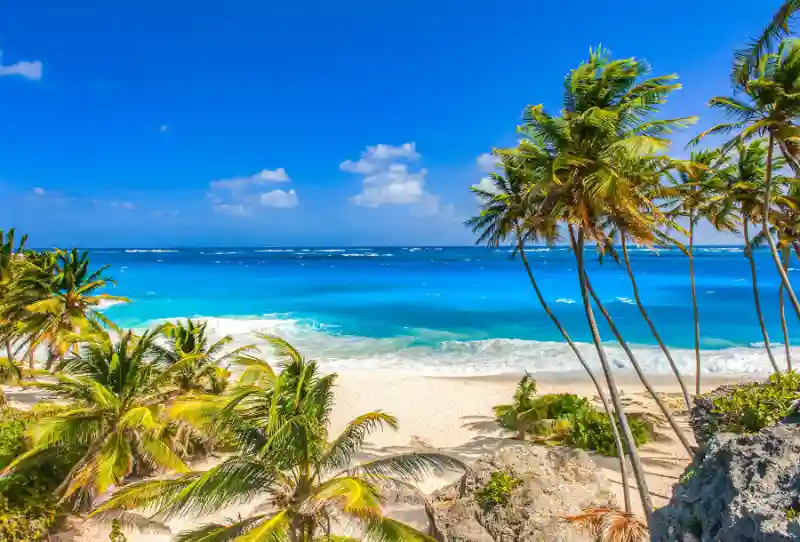 Barbados Summer Travel Advisory: U.S. Embassy Confirms Safety Status ...