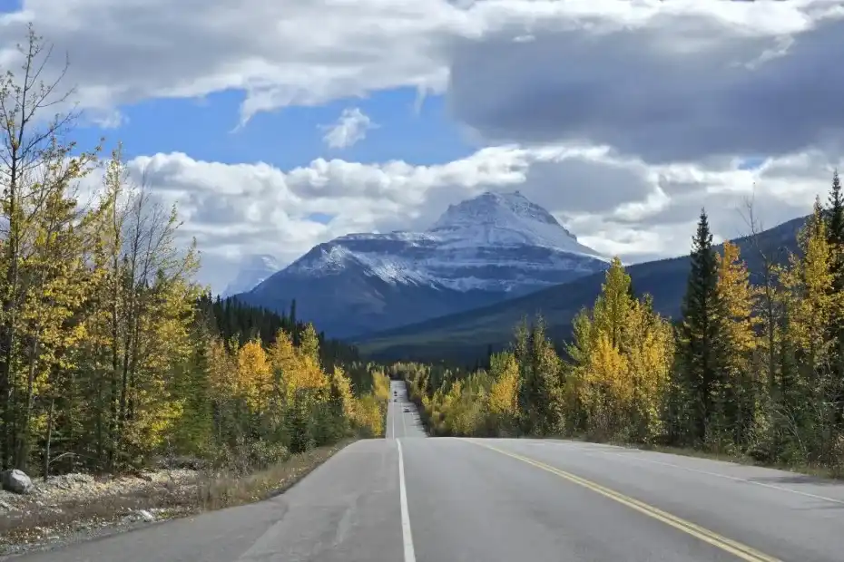 New U.S. and Canada Travel Alerts Signal Growing Safety Risks in ...