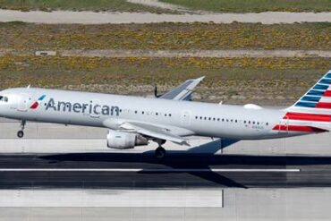 How to Land a Plane - Bolt Flight