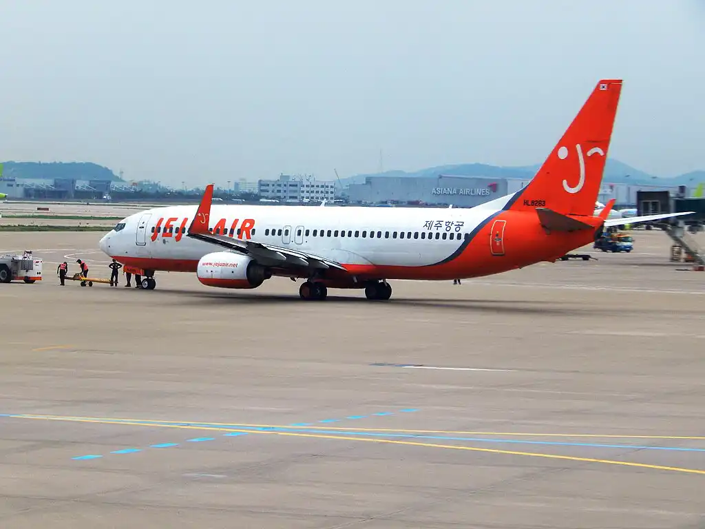 Jeju Air Interim Report: Pilots Shut Down Wrong Engine After Bird ...